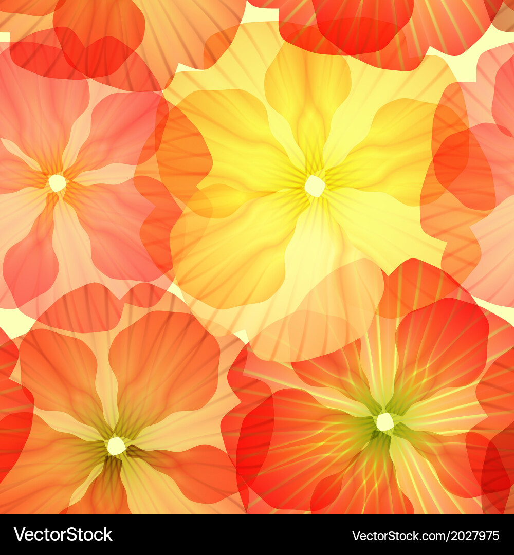 Flower background Royalty Free Vector Image - VectorStock