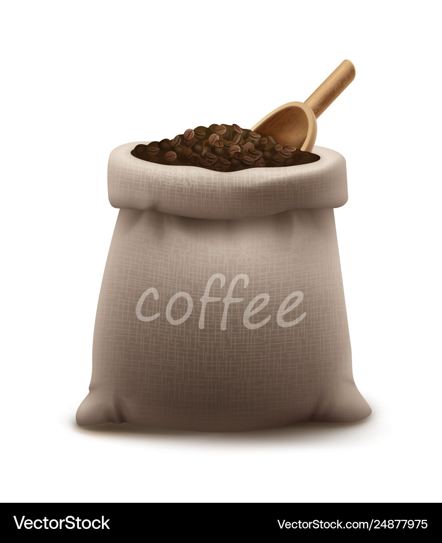 Roasted coffee beans Royalty Free Vector Image