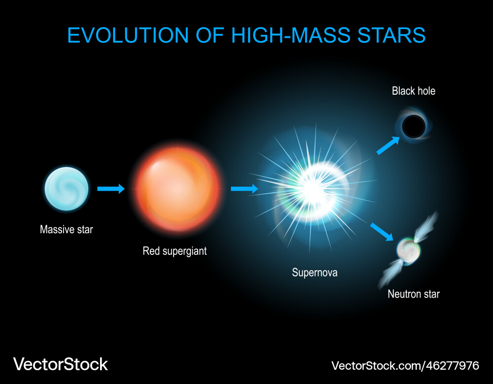Stellar Evolution: Supernova to Black Hole Vector Image