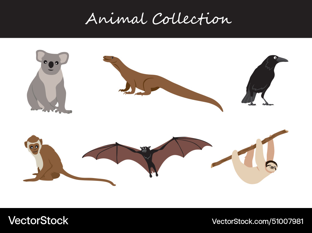 Animals collection isolated on white background Vector Image