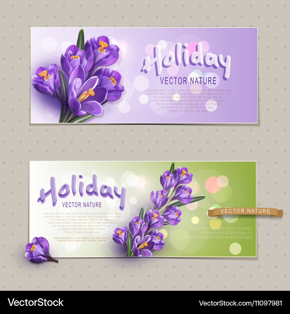 Purple Crocus Floral Holiday Cards Royalty Free Vector Image