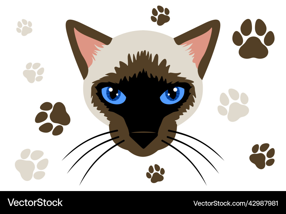 Siamese cat face Royalty Free Vector Image - VectorStock