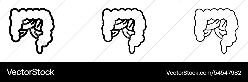 Gut icon Royalty Free Vector Image - VectorStock