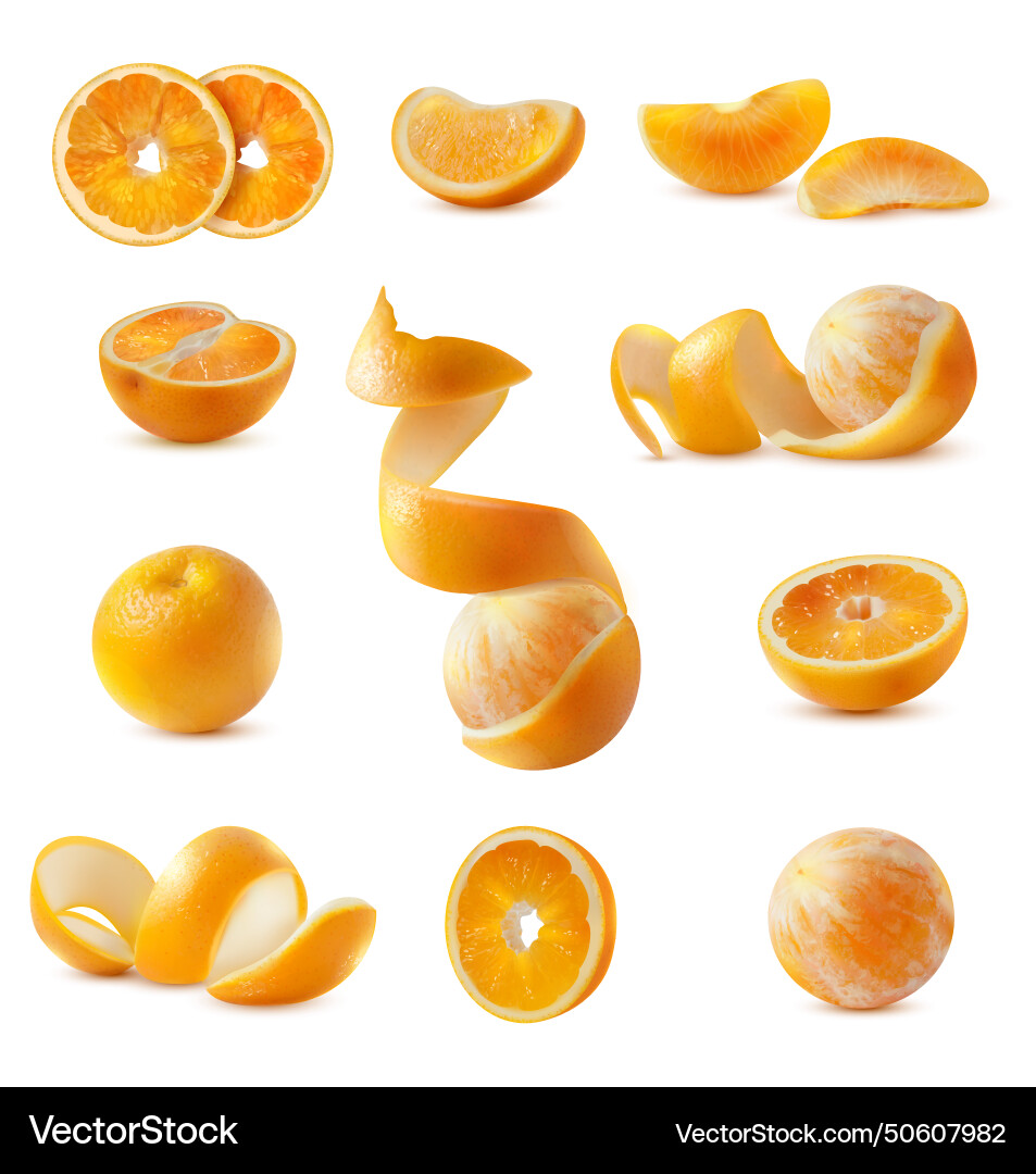 Realistic oranges set Royalty Free Vector Image