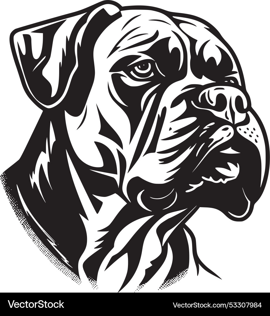 Boxer - minimalist and simple silhouette Vector Image