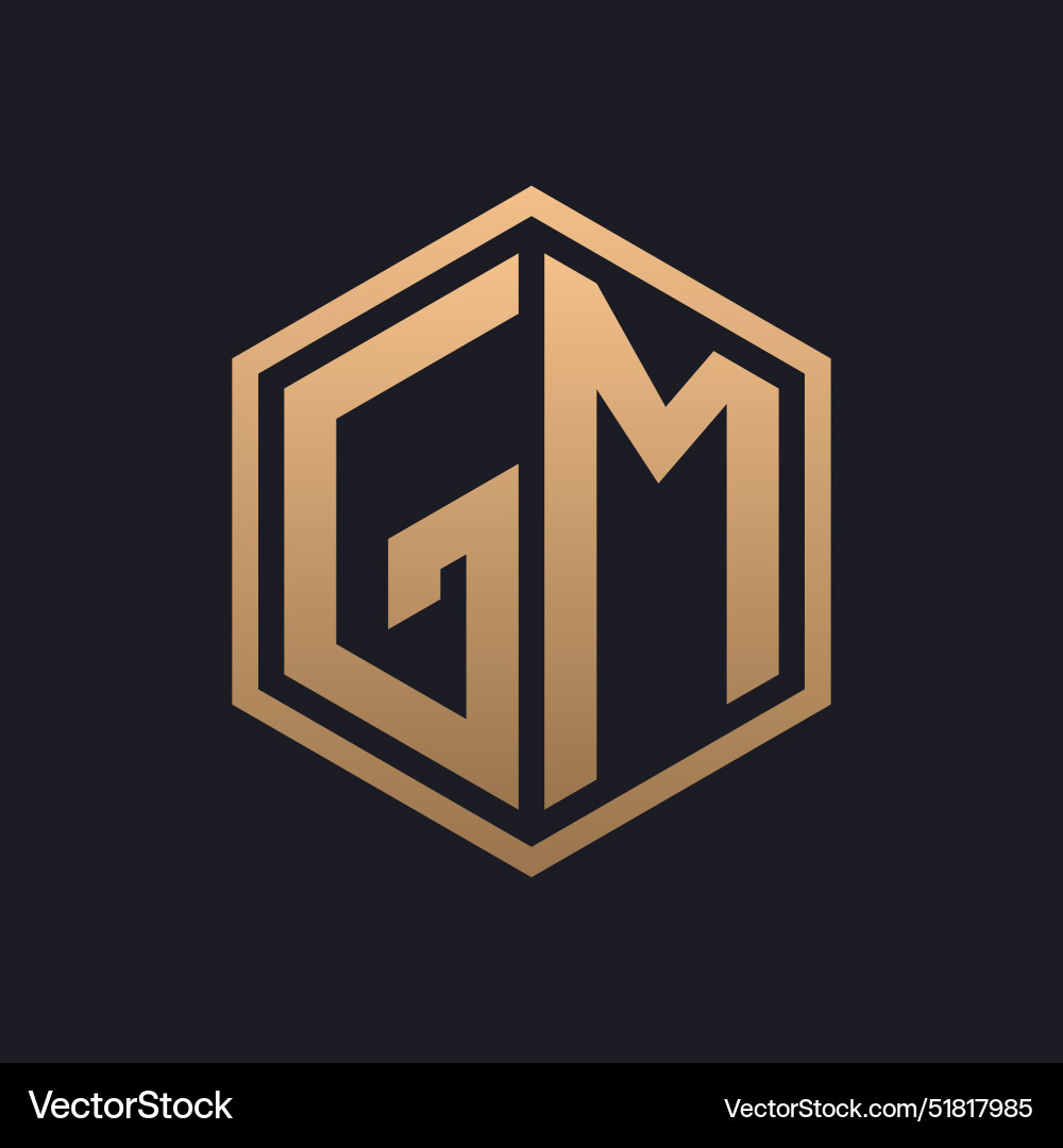 Elegant hexagon letter gm logo design initial Vector Image