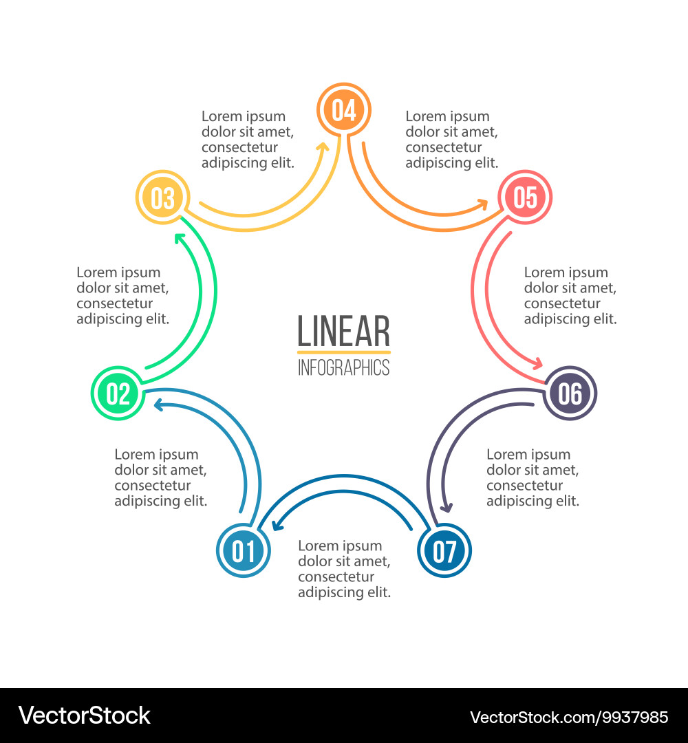 Linear infographics minimalistic chart diagram Vector Image