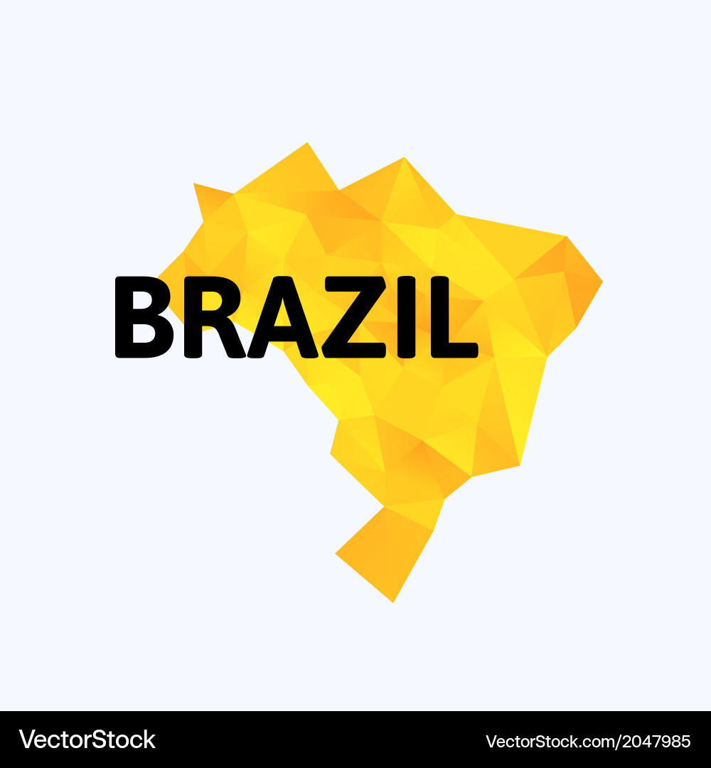 Triangle texture brazil map Royalty Free Vector Image