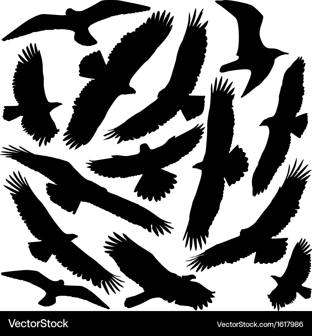 Predator silhouette Royalty Free Vector Image - VectorStock