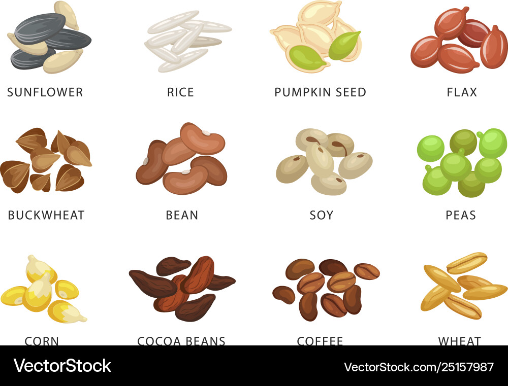 planting the seeds of knowledge