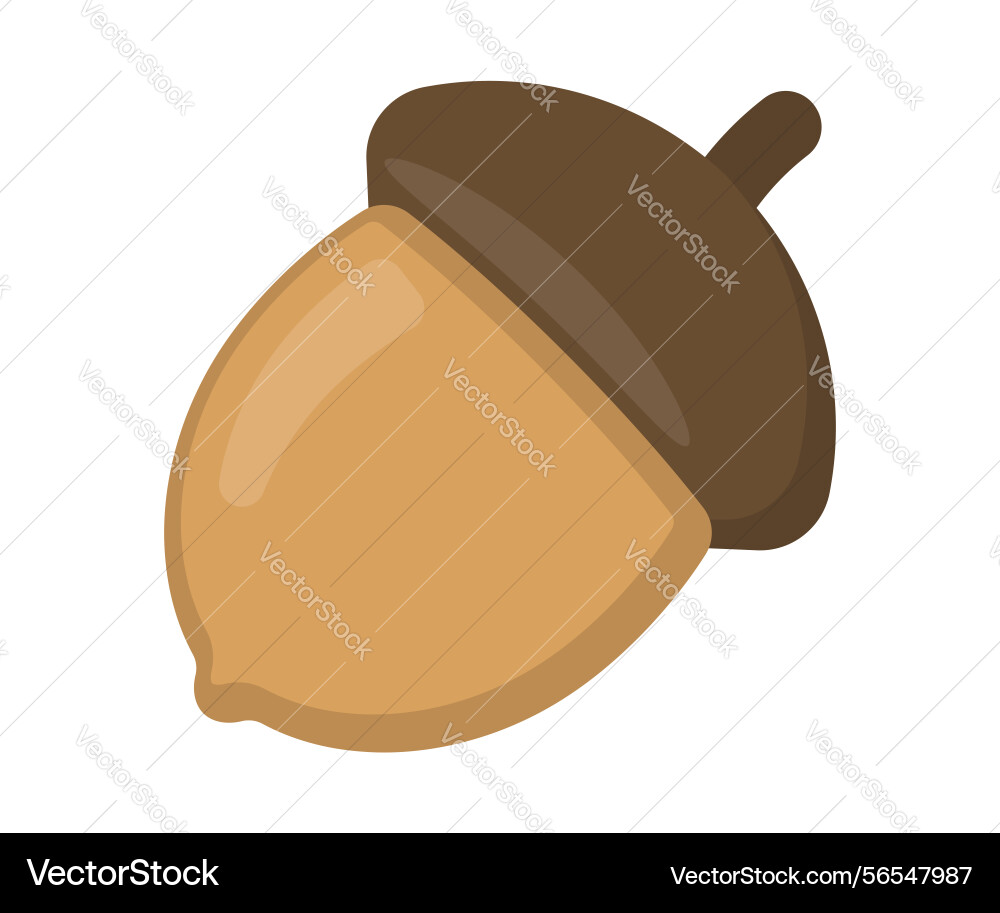 Stylized acorn icon representing fall and nature Vector Image