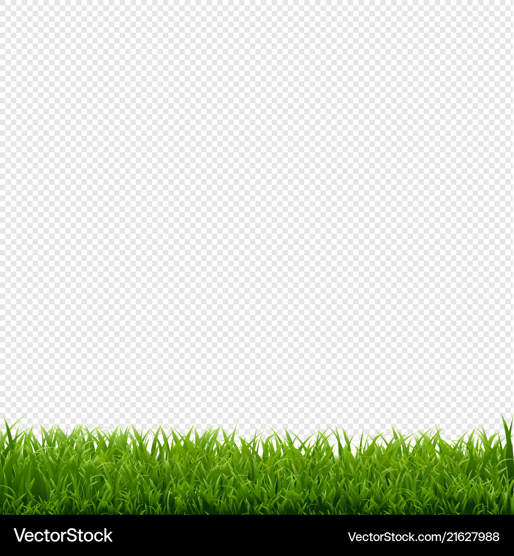 Grass border transparent background Royalty Free Vector
