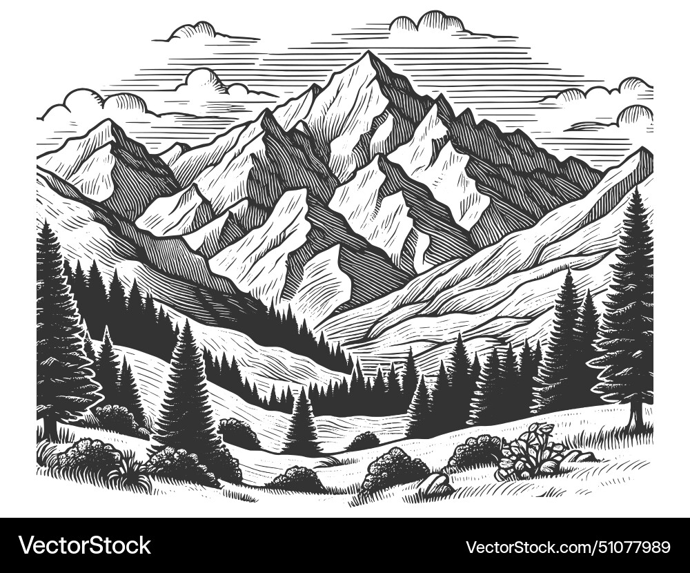 Mountain landscape with forest engraving Vector Image
