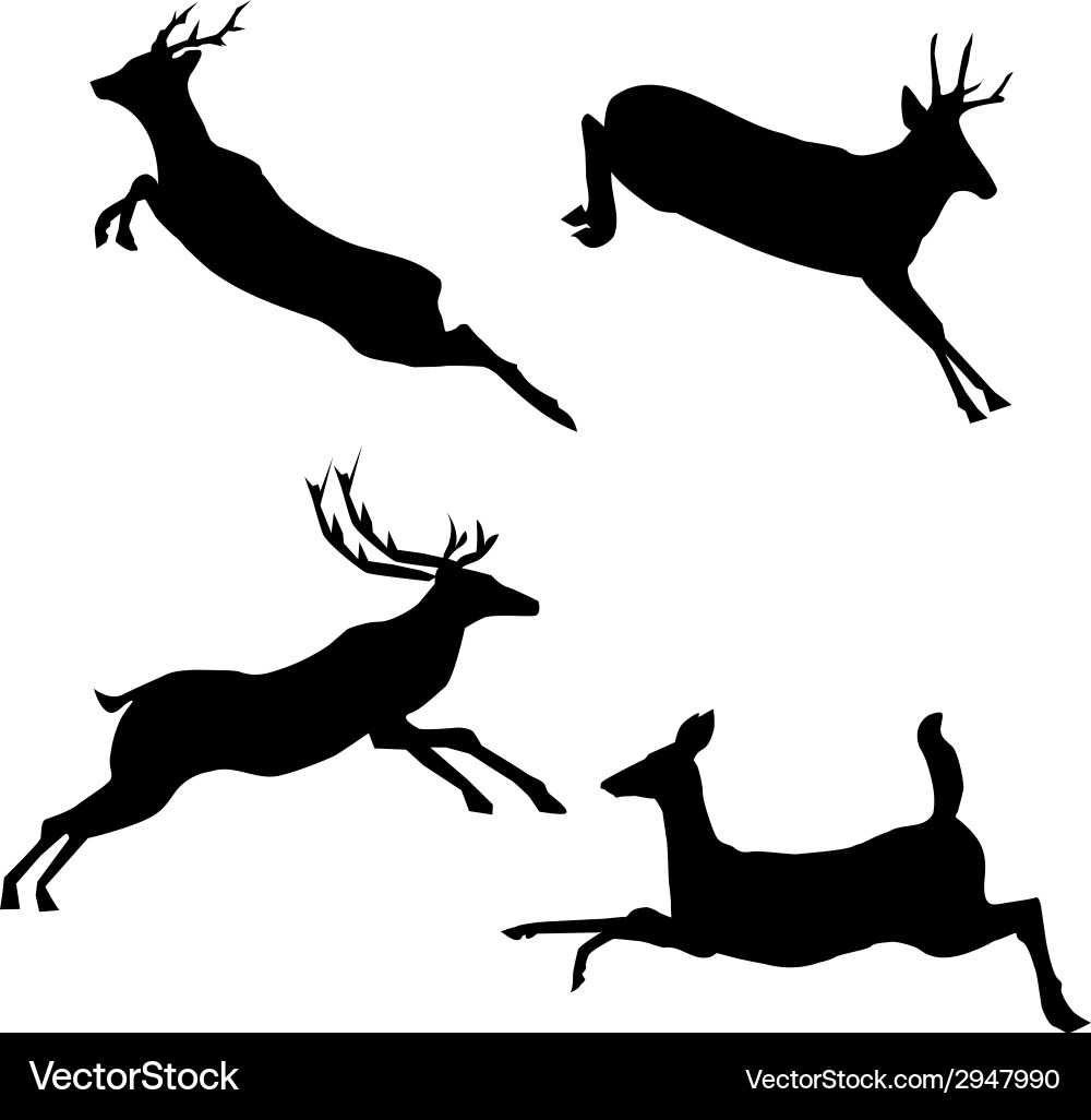 Jumping deer Royalty Free Vector Image - VectorStock