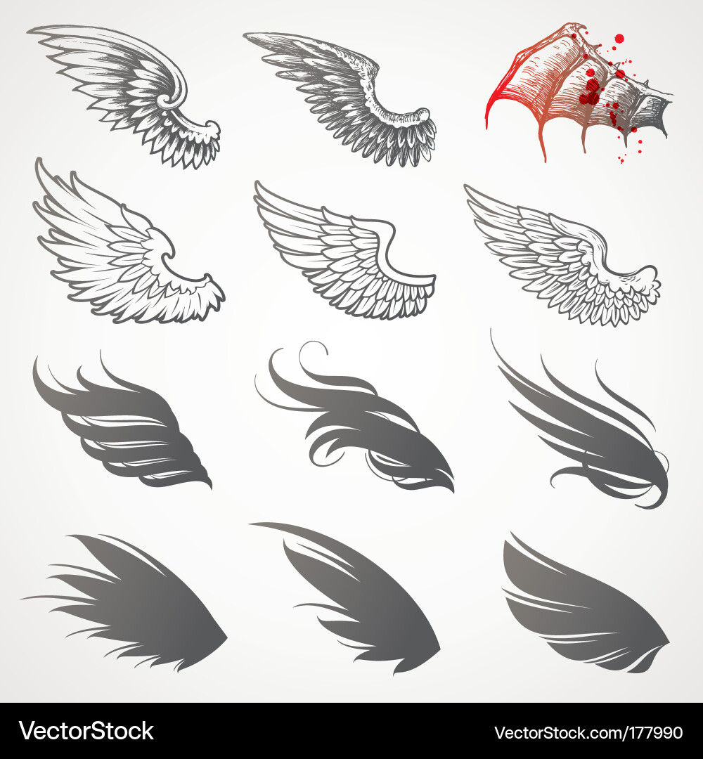 Wings Vector Images (over 470,000)