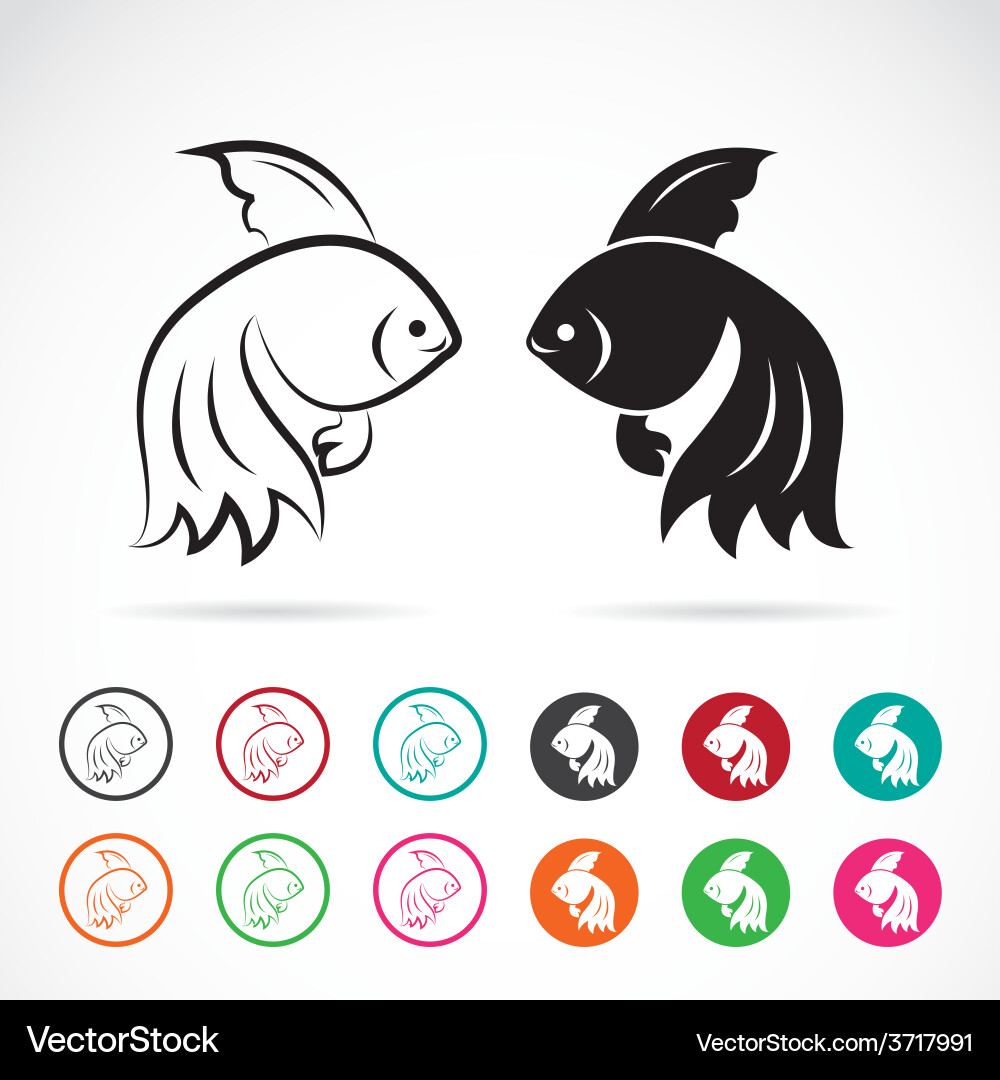 Goldfish Royalty Free Vector Image - VectorStock