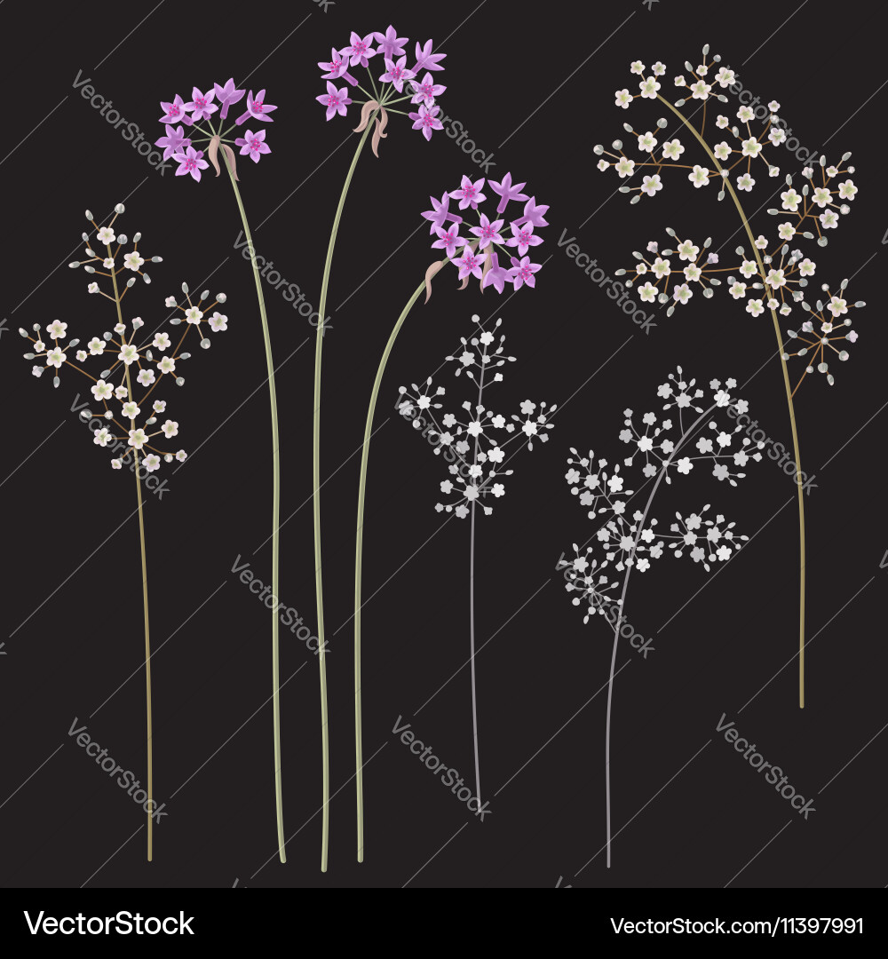 Small flowers set Royalty Free Vector Image - VectorStock