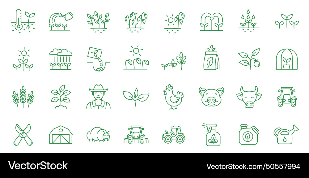 Farming and growing plants agriculture Royalty Free Vector