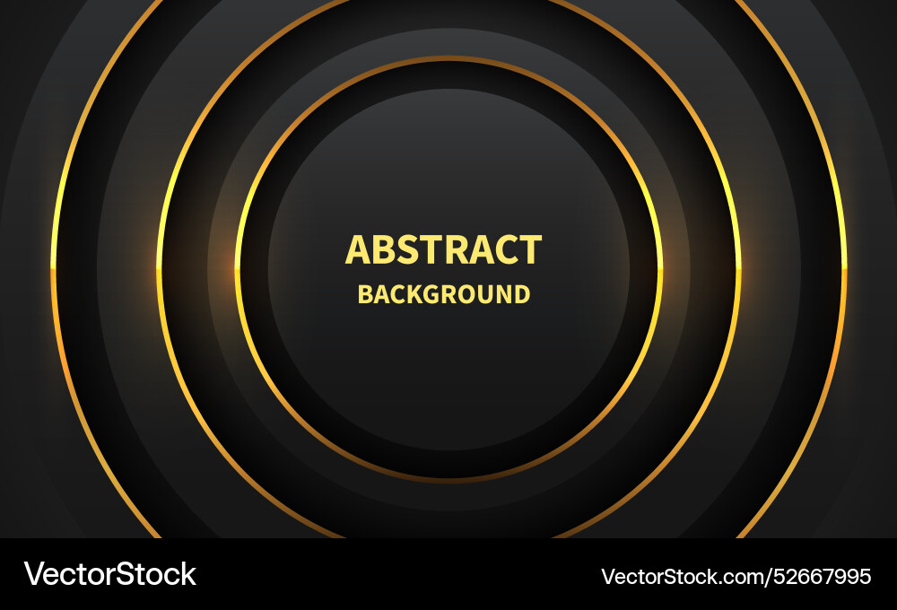 Abstract luxury black gold line circle geometric Vector Image