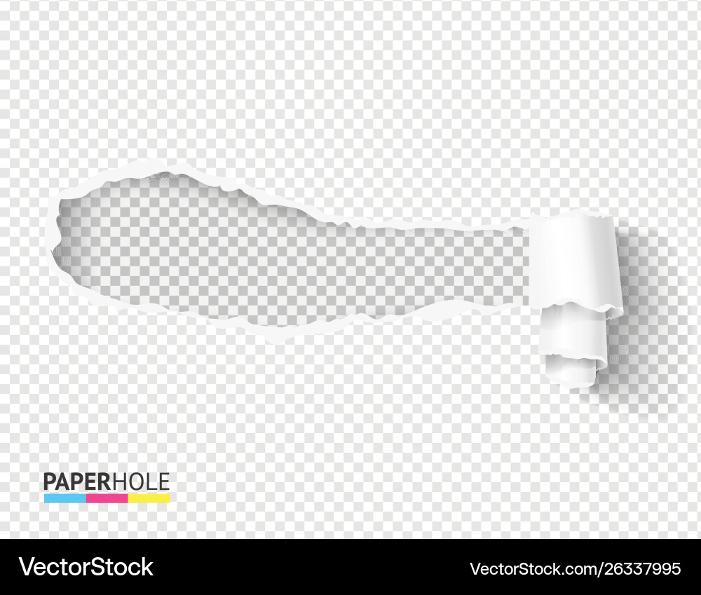Blank torn paper hole poster with scroll Vector Image