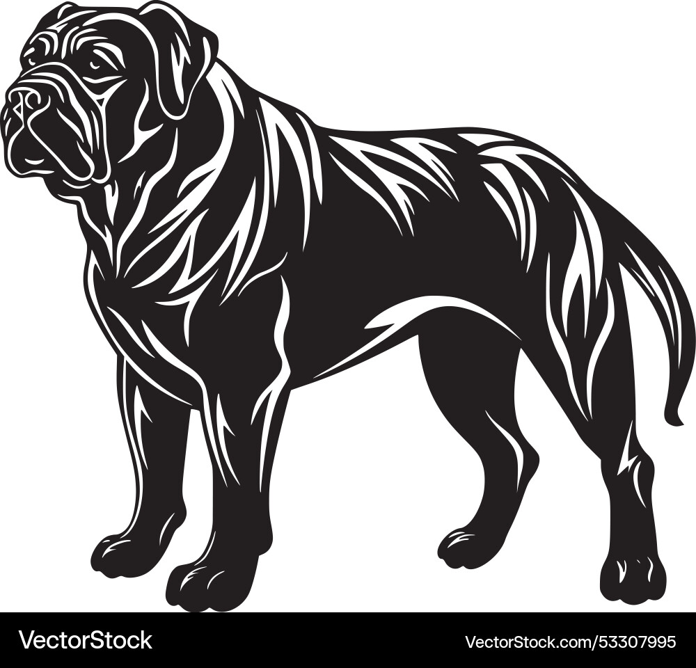 Cane corso - black and white isolated icon Vector Image