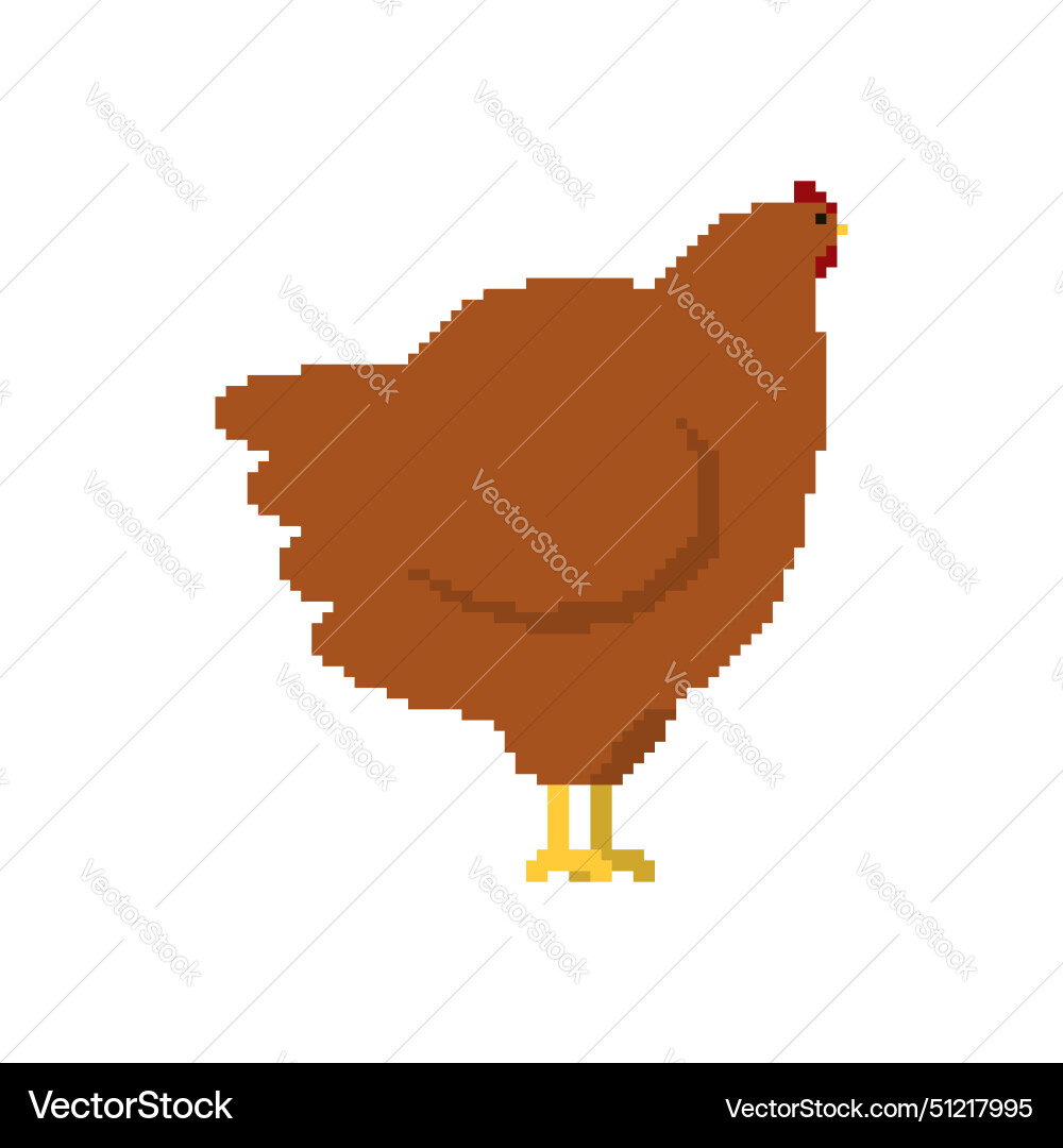 Hen pixel art chicken pixelated farm bird 8 bit Vector Image