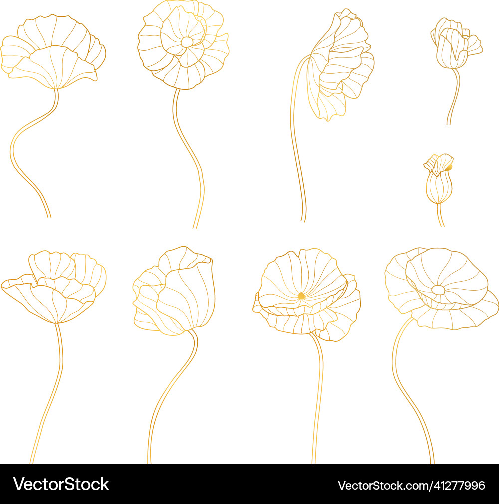 Golden line flowers set gold linear flower Vector Image