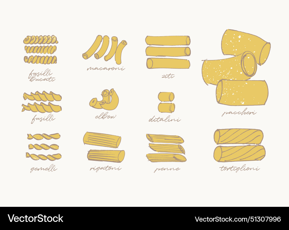 Tubular and twisted pasta banner Royalty Free Vector Image