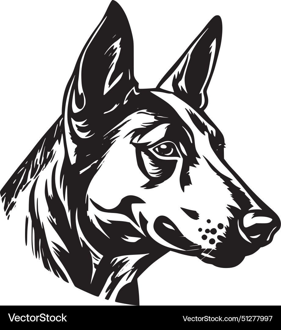 Australian kelpie - minimalist and simple Vector Image