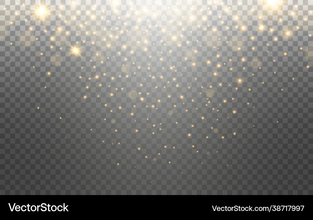 Glitter gold particles on transparent background Vector Image