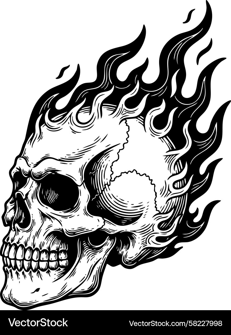 Fiery Skull - Intense Horror Art Royalty Free Vector Image
