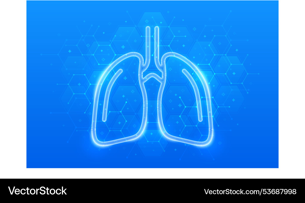 Lungs icon human respiratory system anatomy Vector Image
