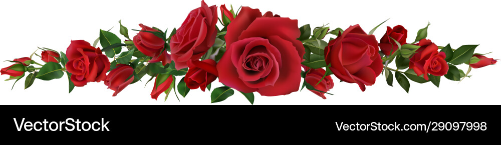 Realistic red roses border flower blossom Vector Image