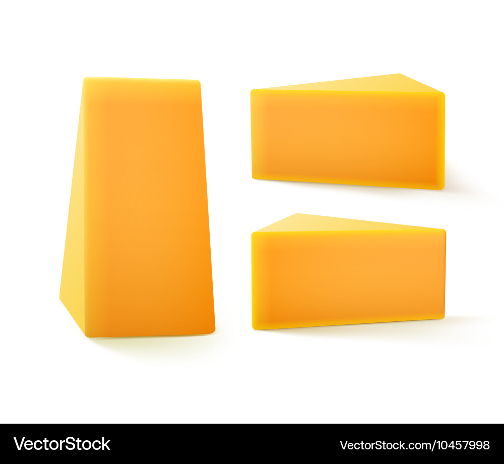 Set of triangular pieces cheddar cheese Royalty Free Vector
