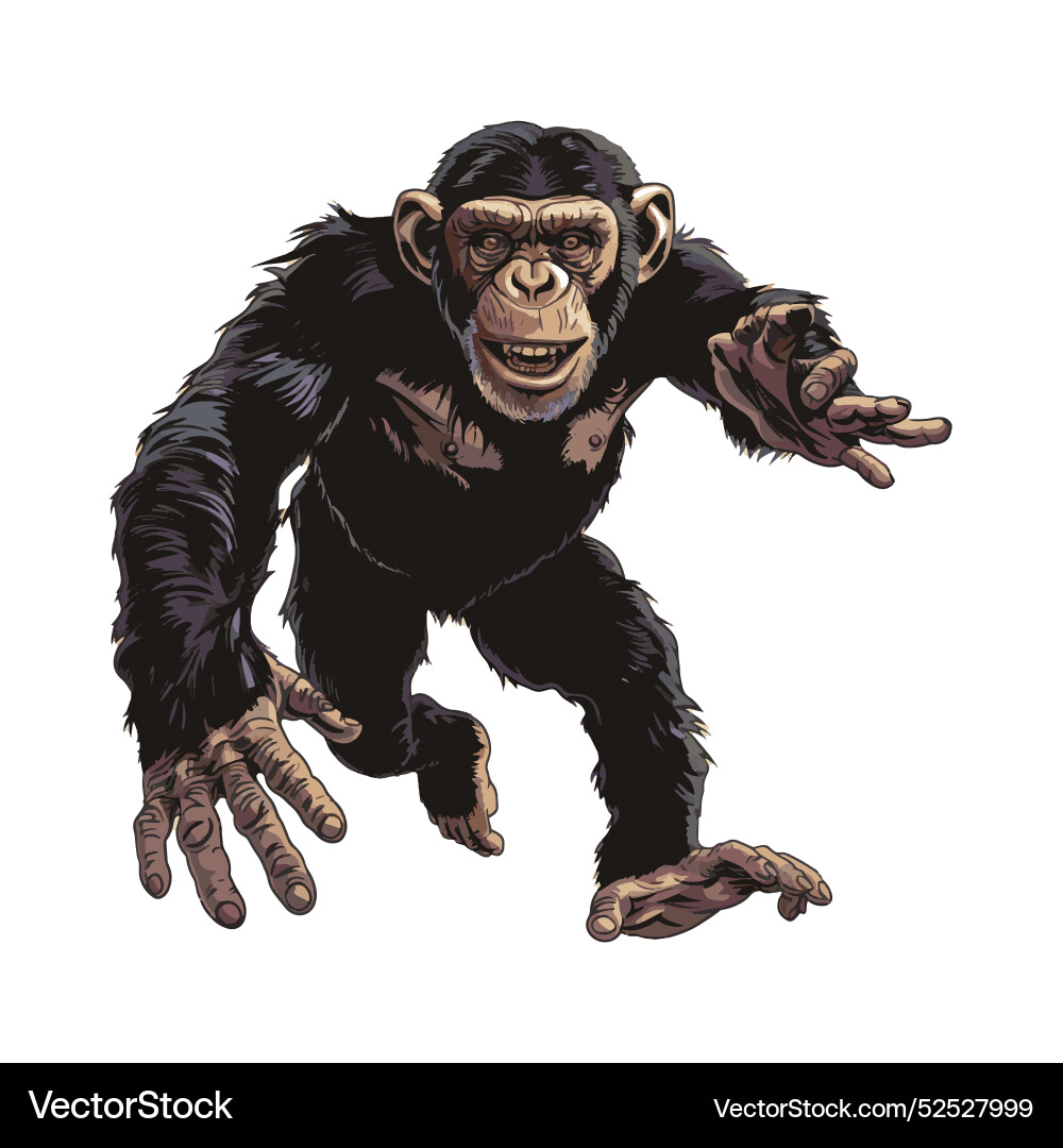 Little monkey in action isolated white Royalty Free Vector