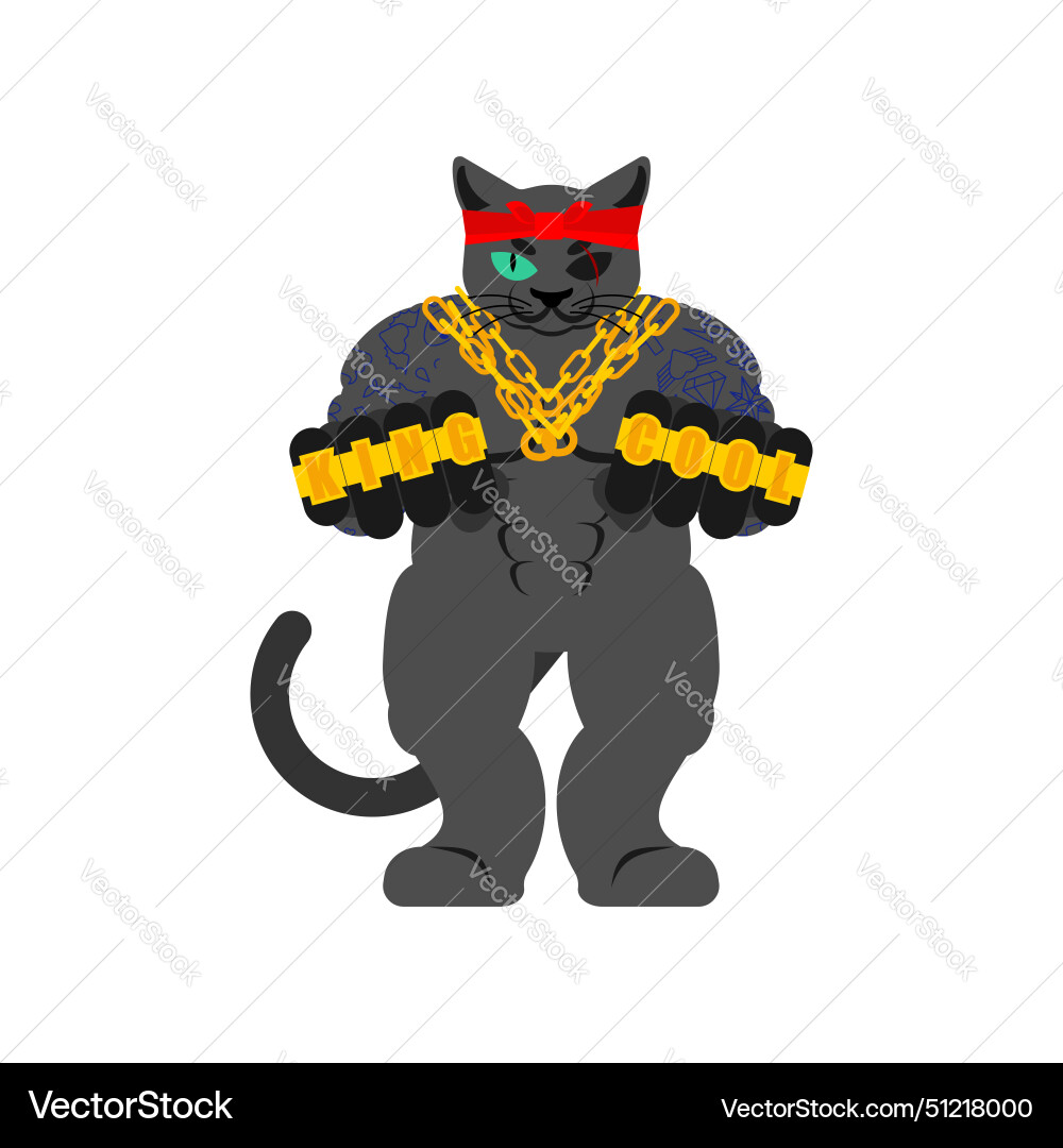 Cat gangsta isolated angry pet bully member Vector Image