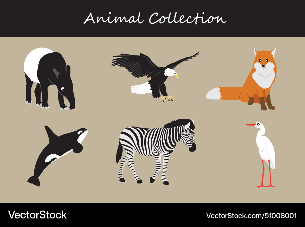 Animals collection isolated on white background Vector Image