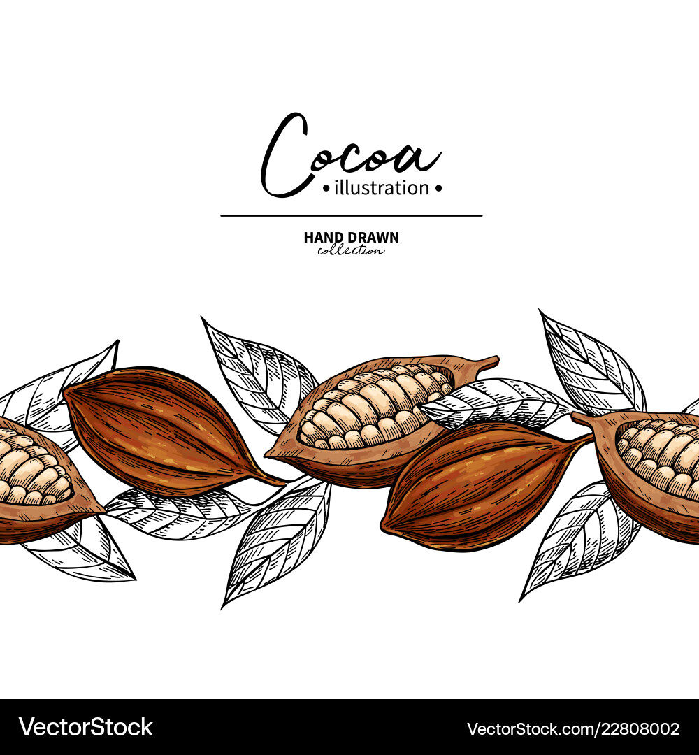 Cocoa border superfood drawing template Royalty Free Vector