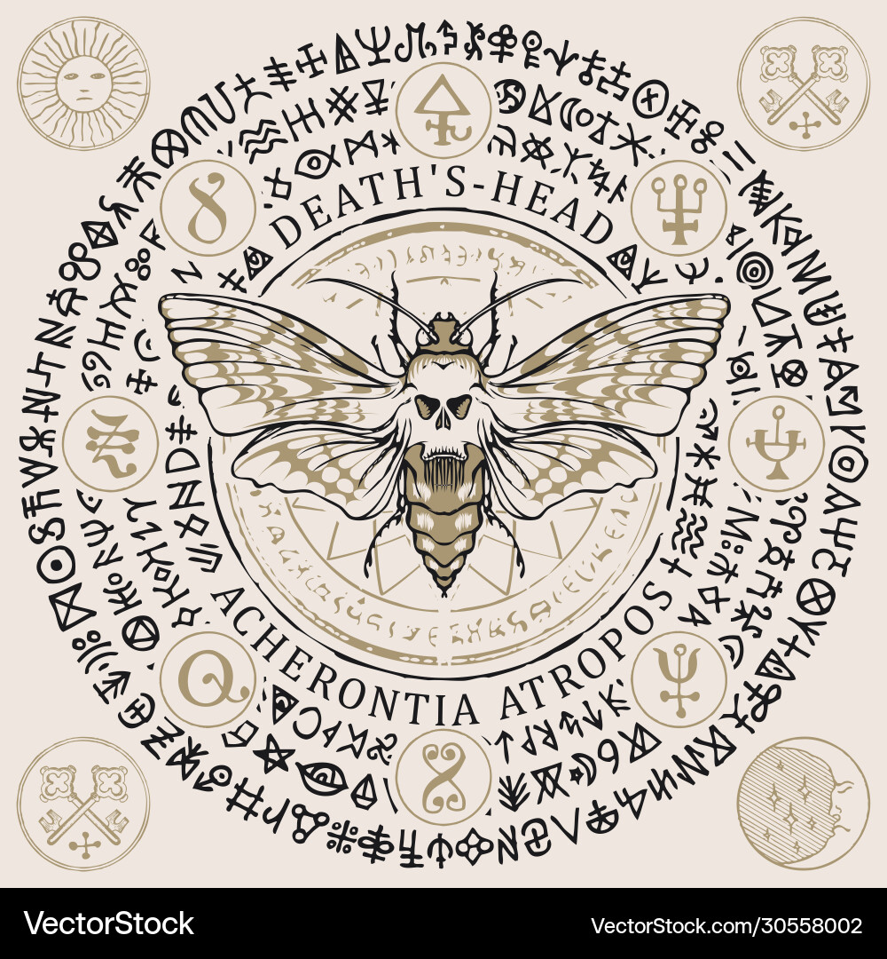 Moth Banner with Magical Symbols Royalty Free Vector Image