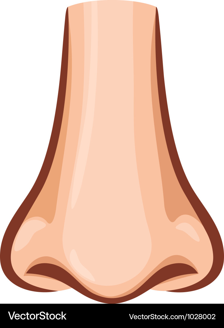 Nose Royalty Free Vector Image - VectorStock