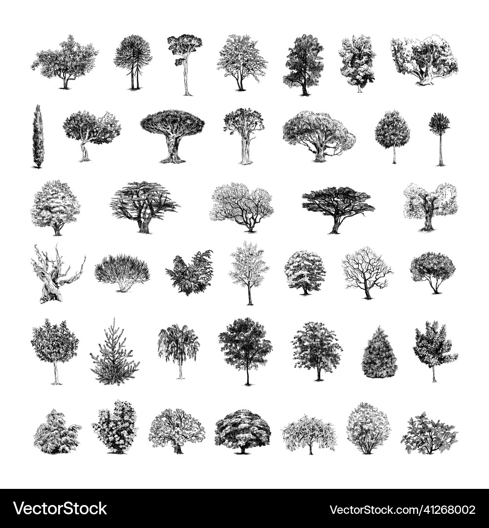 Trees in art ink style Royalty Free Vector Image