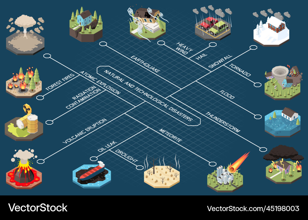 Natural disaster flowchart Royalty Free Vector Image