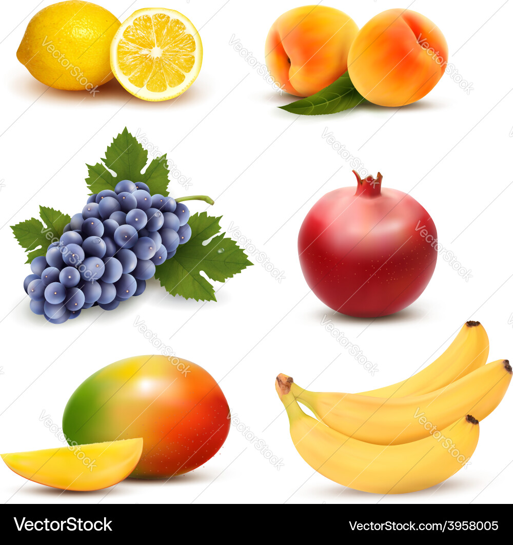 Assortment of Fresh Fruits Royalty Free Vector Image