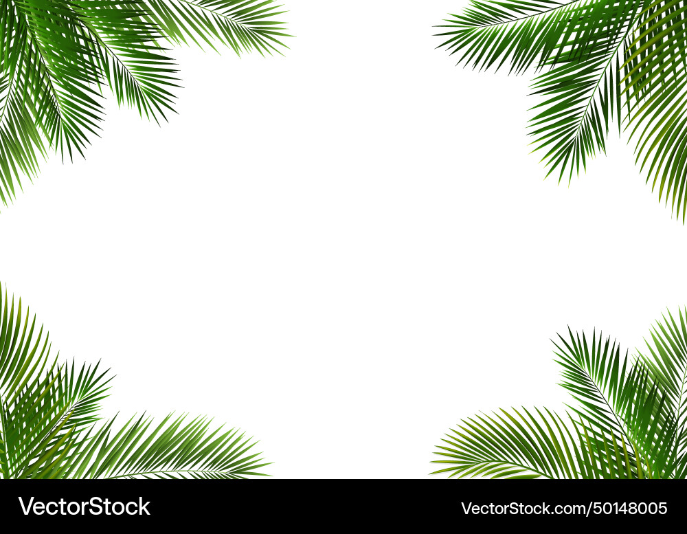 Border with palm tree leaves Royalty Free Vector Image