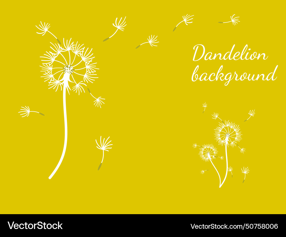 Abstract background dandelion design Royalty Free Vector