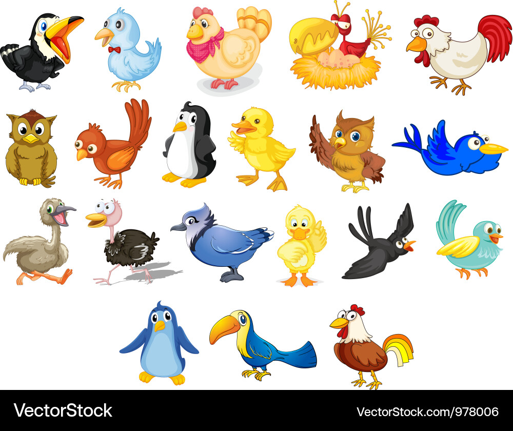 Birds Royalty Free Vector Image - VectorStock