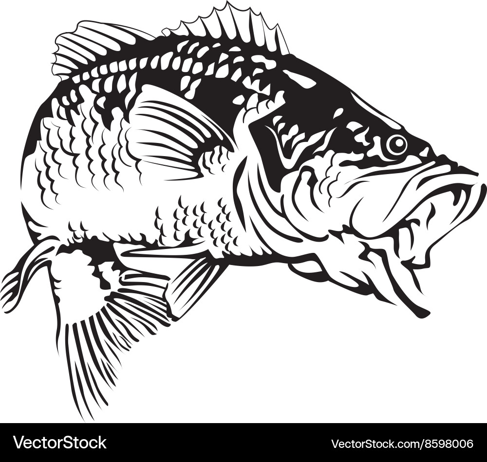 Black Bass Fish Artwork Royalty Free Vector Image