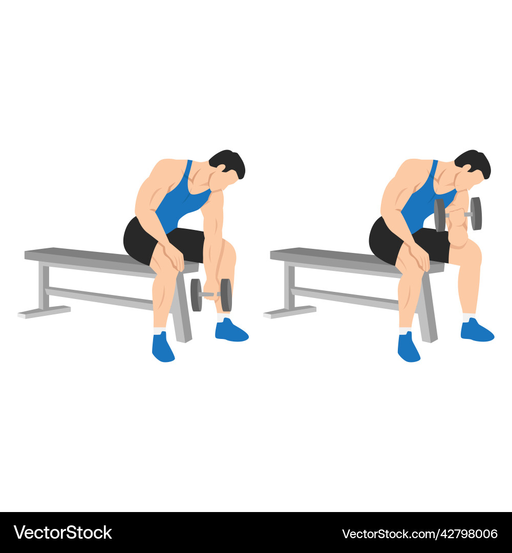 Man doing dumbbell concentration curl flat Vector Image