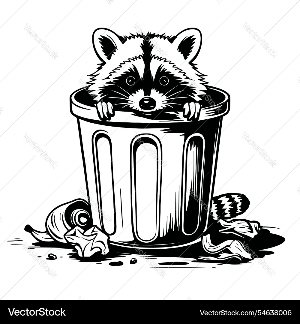 Raccoon in trash can monochrome Royalty Free Vector Image