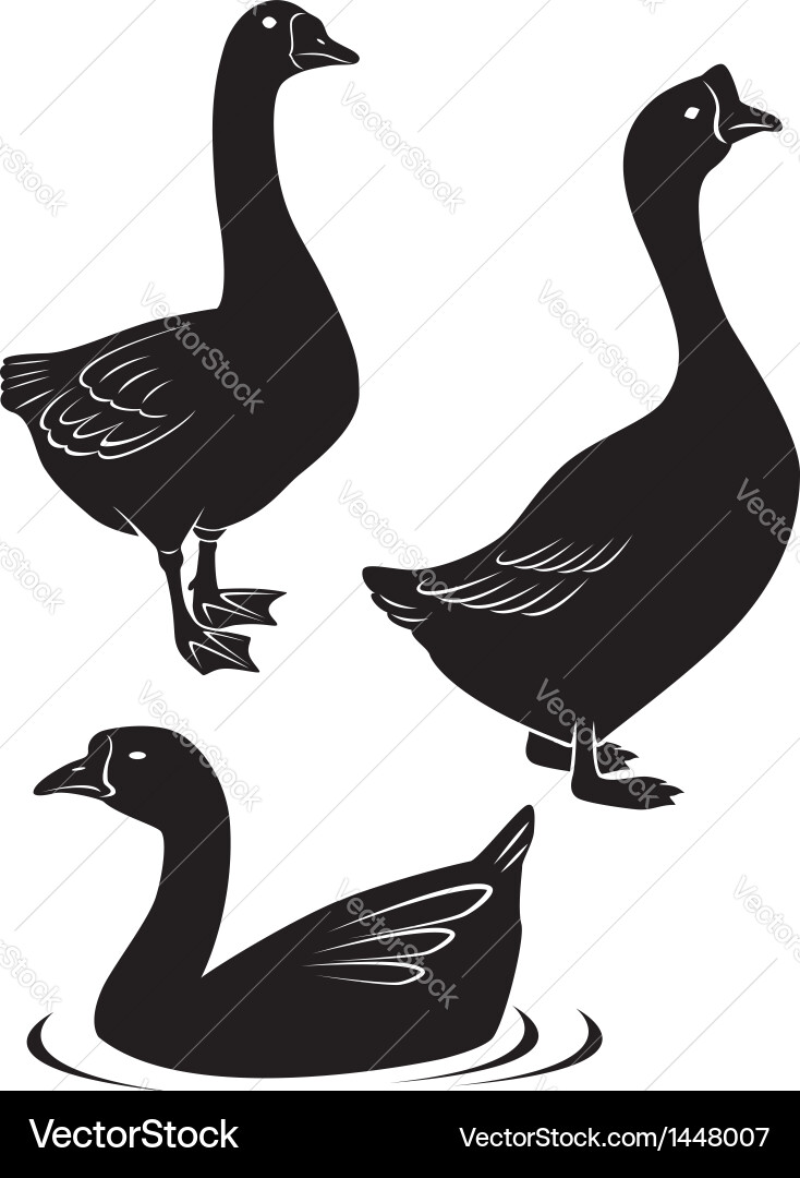 Goose Royalty Free Vector Image - VectorStock